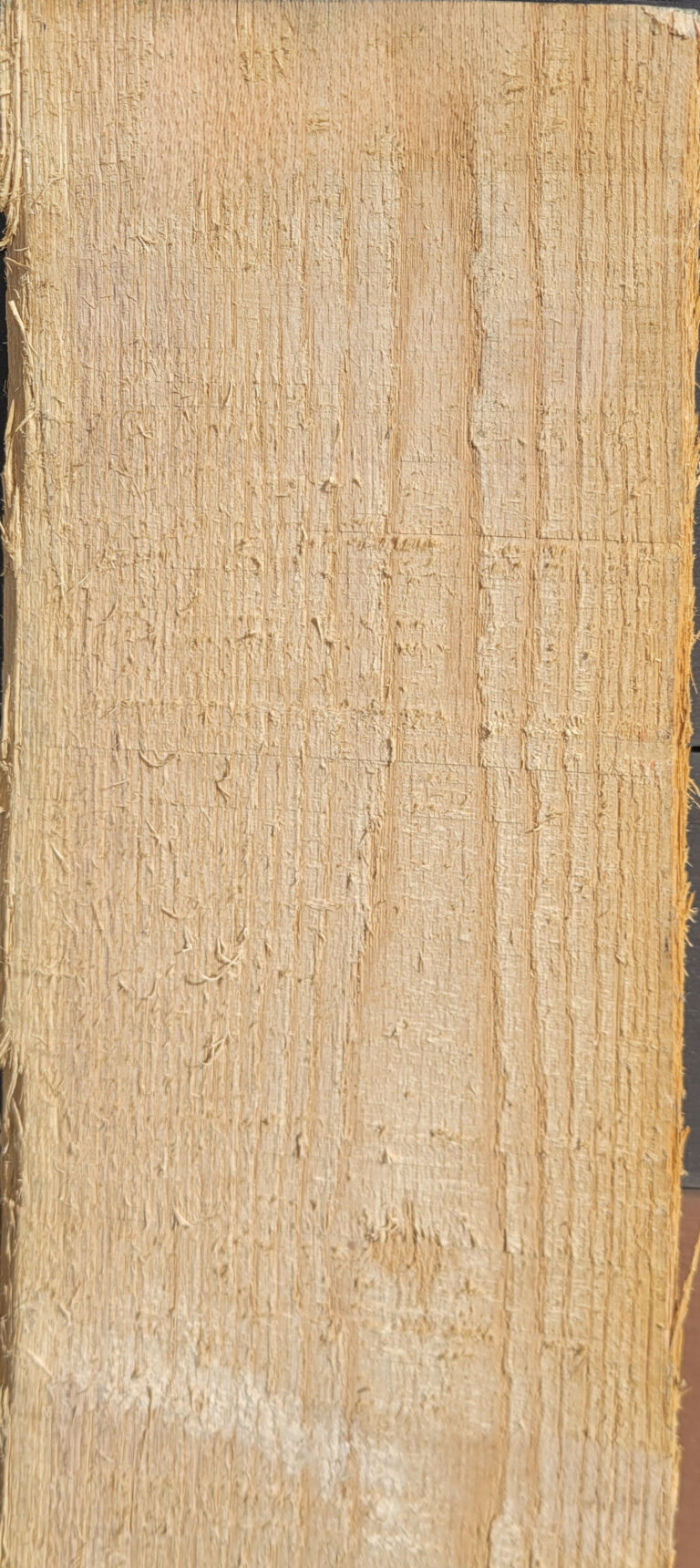 Roble Rojo Americano – Alta calidad para interiores elegantes – Litorsa ...